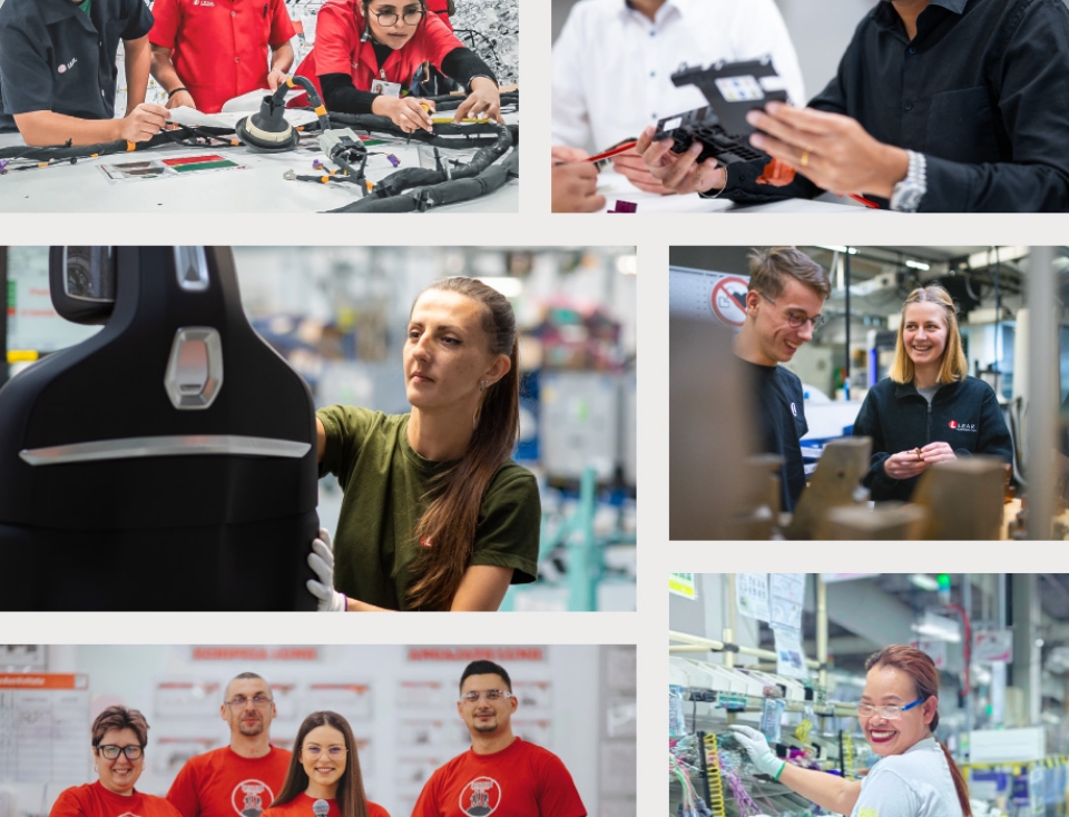 Lear Brand, Advertising & Web Design | Moncur Case Studies